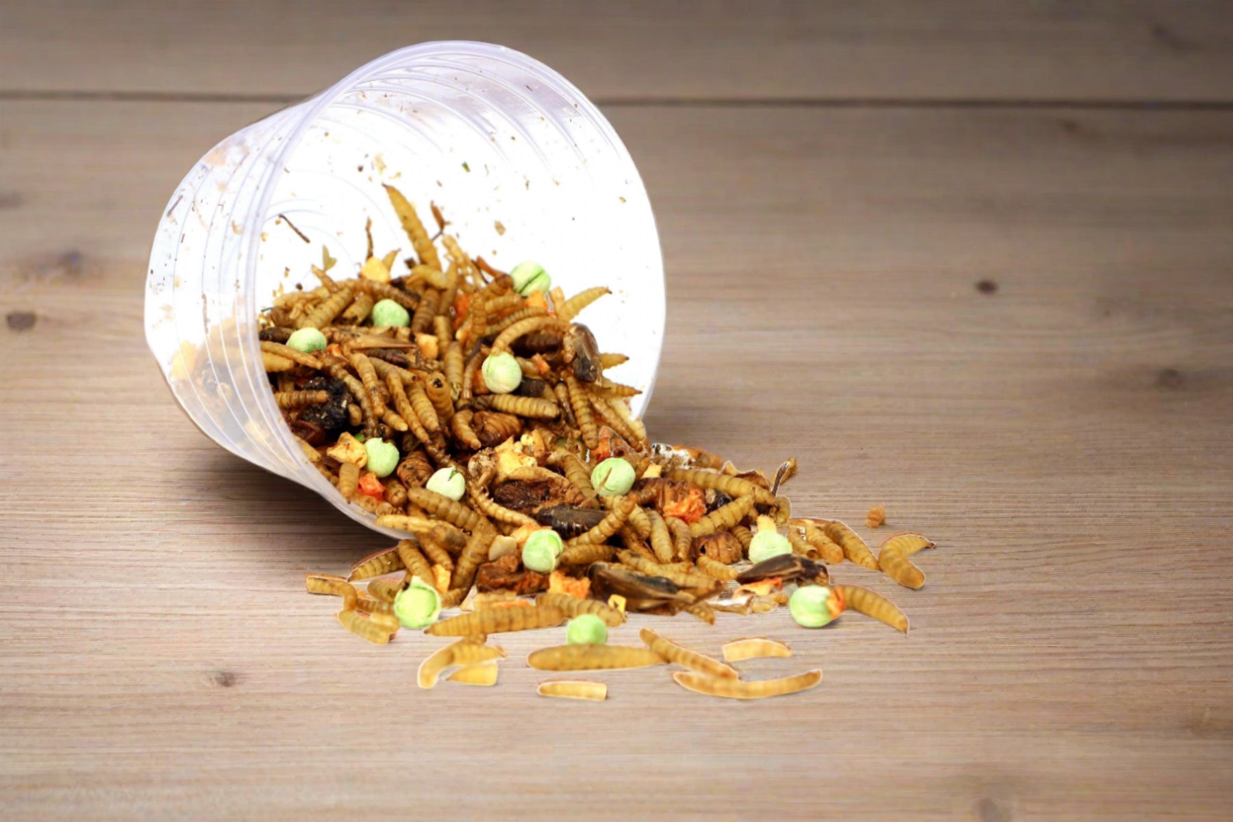 Hermit Crab Food | Snout and Shell